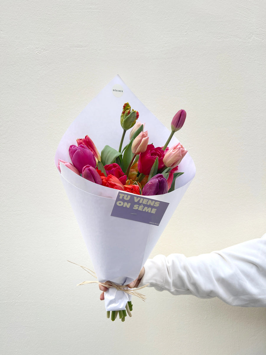 Collection de tulipes livrées à Paris – Désirée